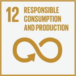 Global indicator framework for the SDGs