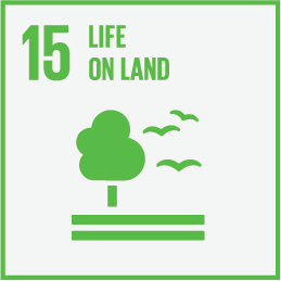 Global indicator framework for the SDGs